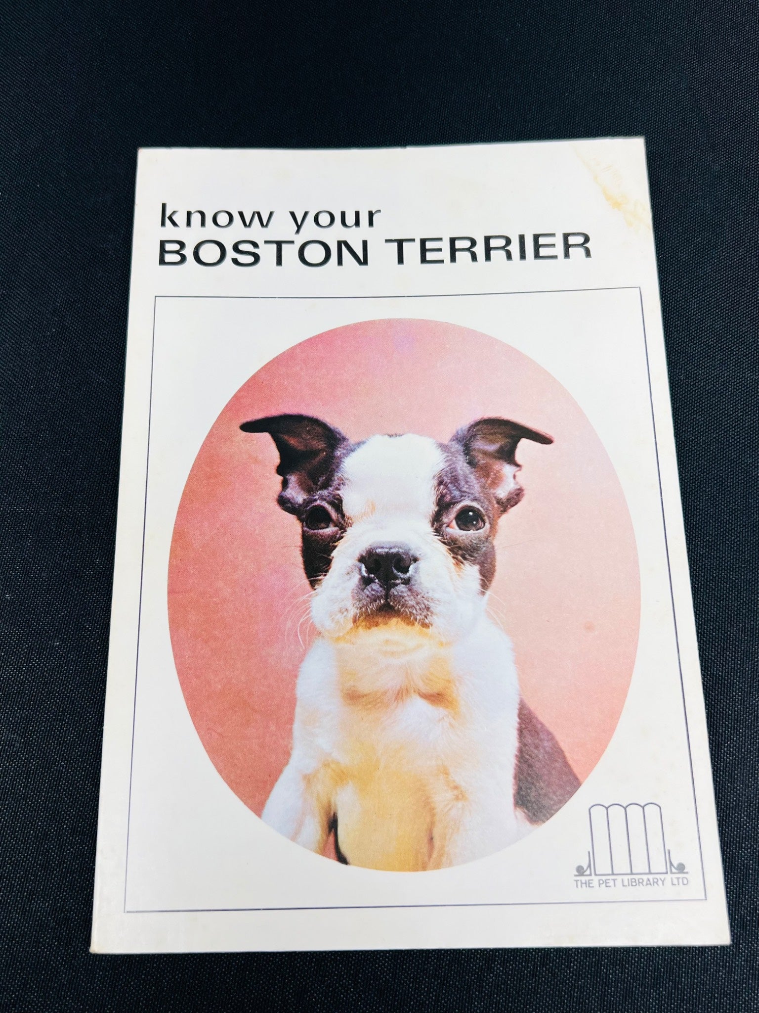 Know Your Boston Terrier Booklet – Thunder Bay Estate Sales