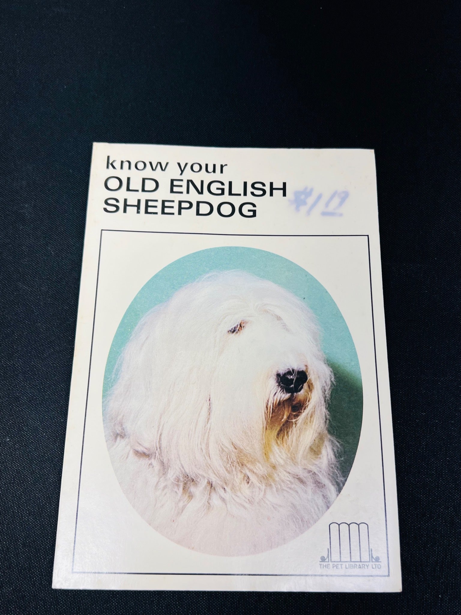 Know Your Old English Sheepdog Book – Thunder Bay Estate Sales